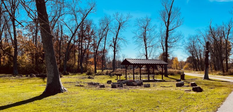 Help bring the trees back to Point Gratiot | News, Sports, Jobs ...
